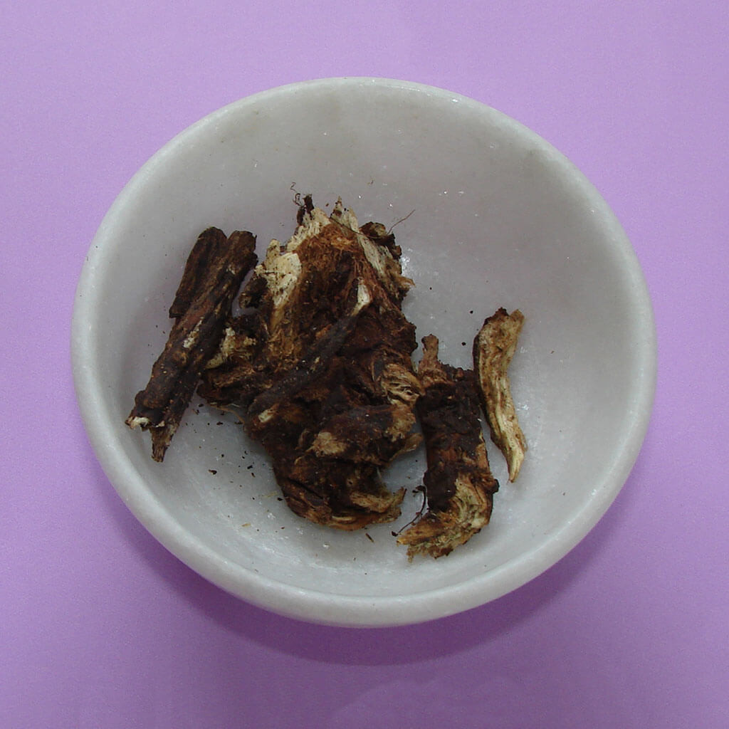 Where to Buy Osha Bear Root - Benefits and Uses of Herbs