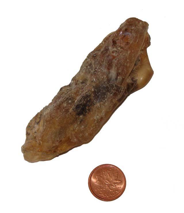 Where to Find Amber Copal - Properties of Stones