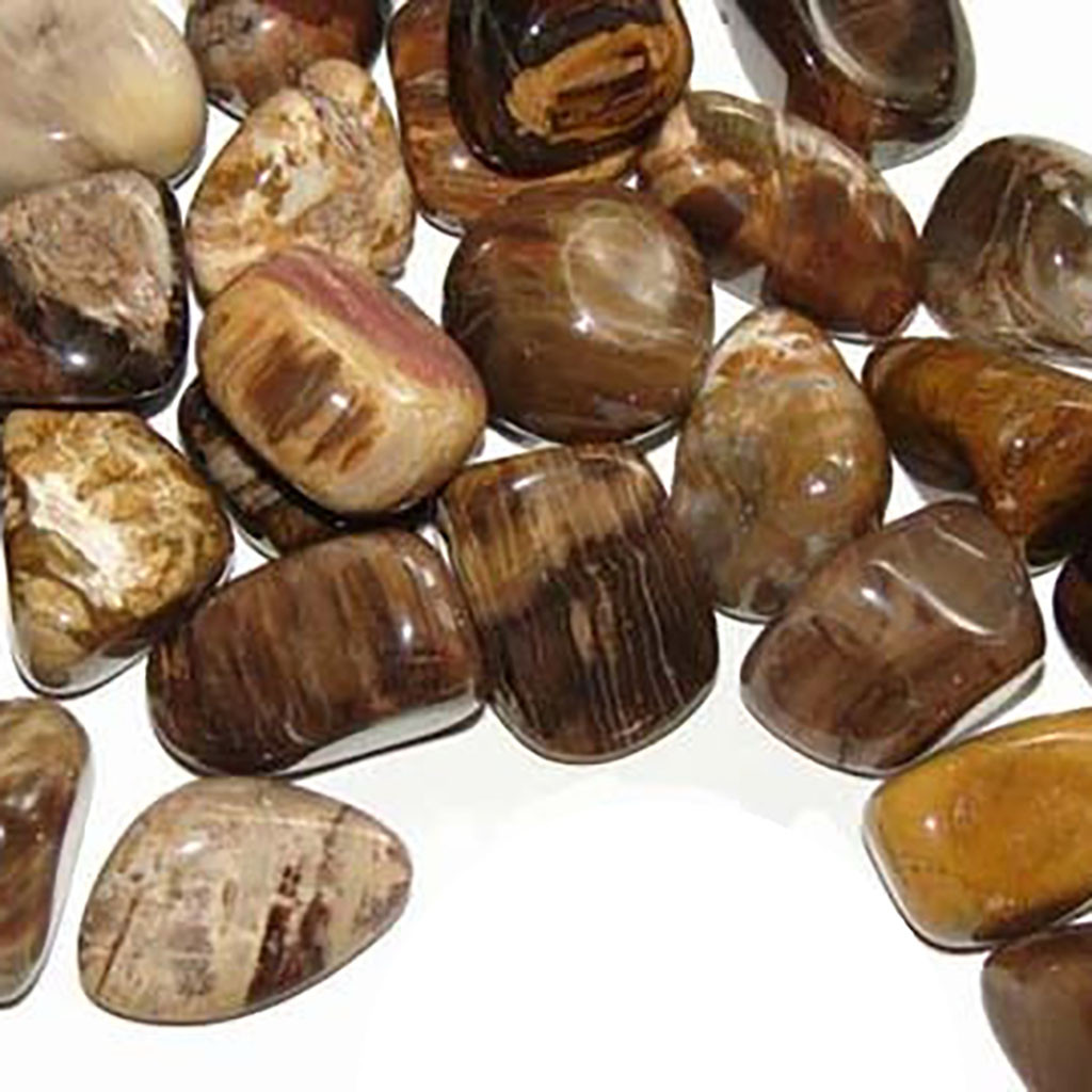 Where to Buy Tumbled Petrified Wood - Properties of