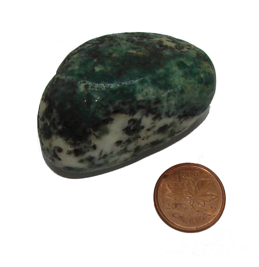 Where to Find Tumbled Tree Agate - Uses of Stones