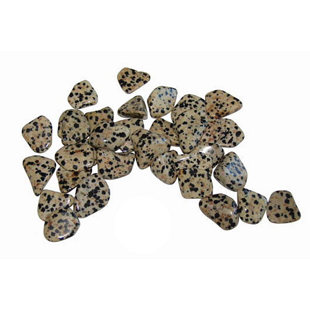 Where to Buy Tumbled Dalmation Jasper - Properties of