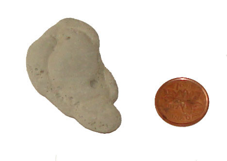 What is Concretion Stone Used For - Where to Buy Them