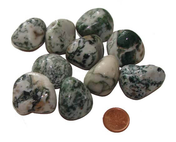 Shop for Tree Agate Stone - Meaning of
