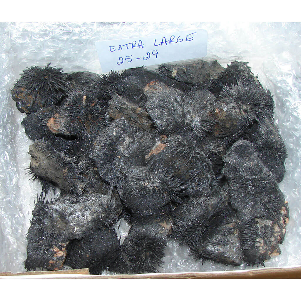 Natural Lodestone for Sale and Information About