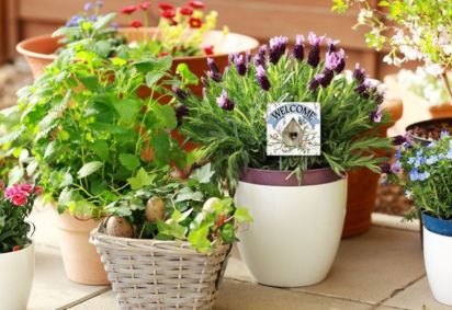 20% Off Plant Pokes Signs - Made In America Store