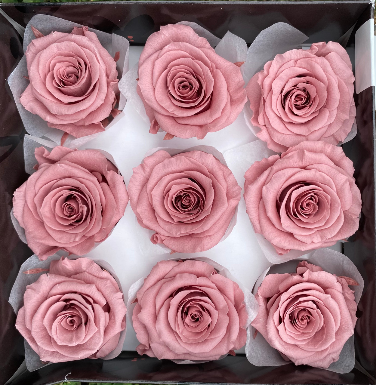 Japan Kanon Rose 9 Box (Russet Pink)