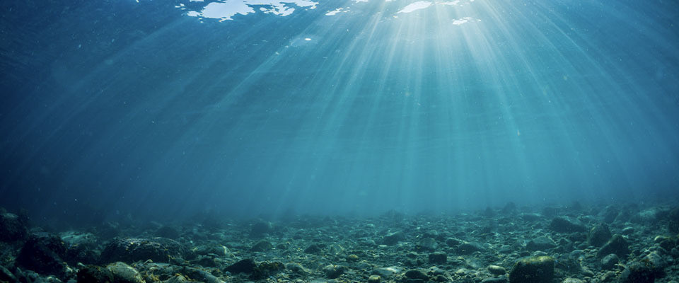 DIY Solutions - Pond Colorant & Water Clarifiers - Airmax