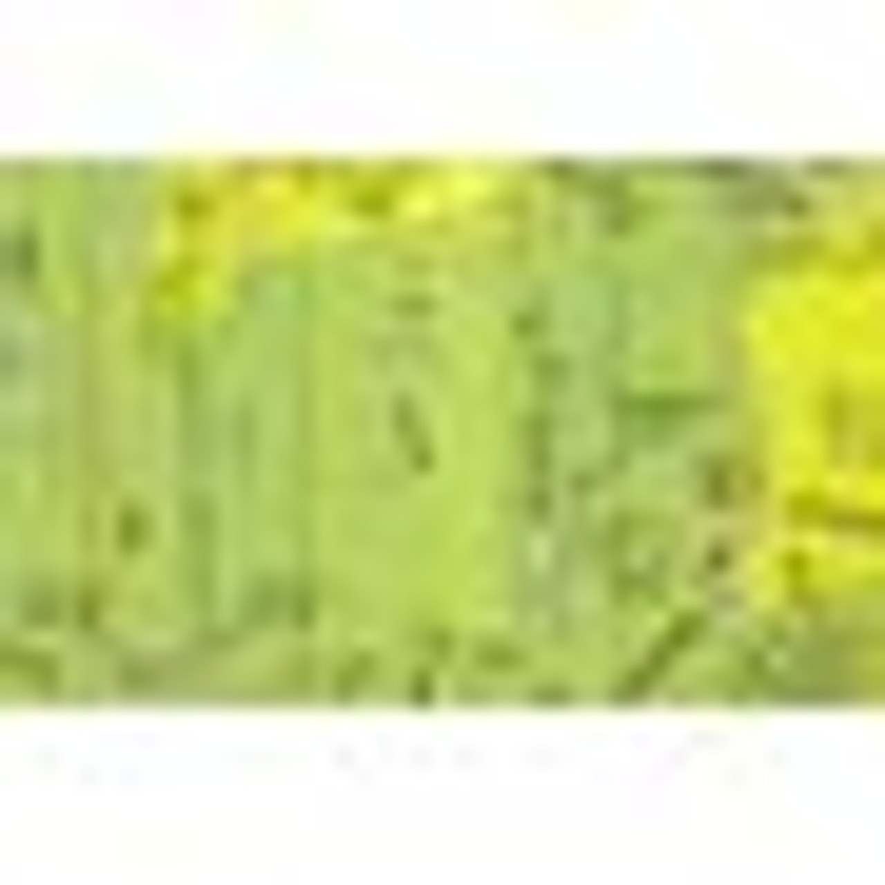 Mansfield-Mt Howitt Adventure Map