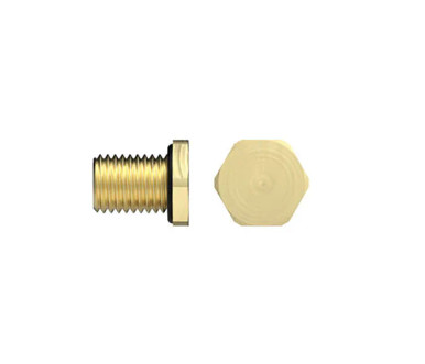HEX SOCKET STOPPING PLUG TYPE A BRASS M16 (Case Qty 135)
