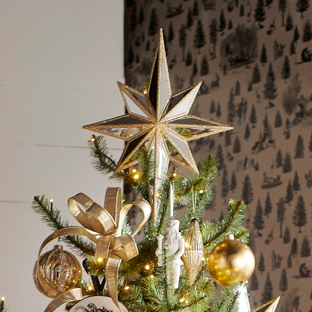 Raz 17" Large Mirrored North Star Christmas Tree Ornament | Raz Imports | Raz Christmas ...