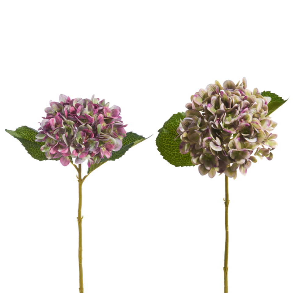 Raz 24" Green and White Hydrangea Spring Wreath | Raz Imports | Raz ...