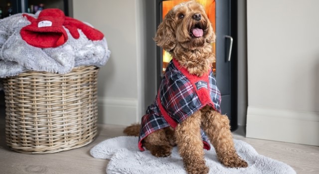 20 reasons to buy a genuine Dogrobe from Dogrobes - Dogrobes