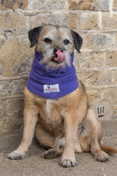 Dogrobes | Dog Drying Coats & Accessories To Dry Wet Dogs