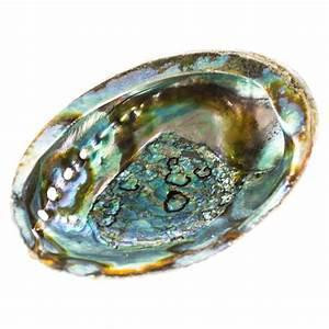 Abalone Shells - 6" Abalone Shell | Offering Bowl - Prana Blessings ...