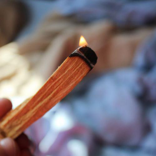 Single Palo Santo | Holy Wood - Prana Blessings Metaphysical Shop