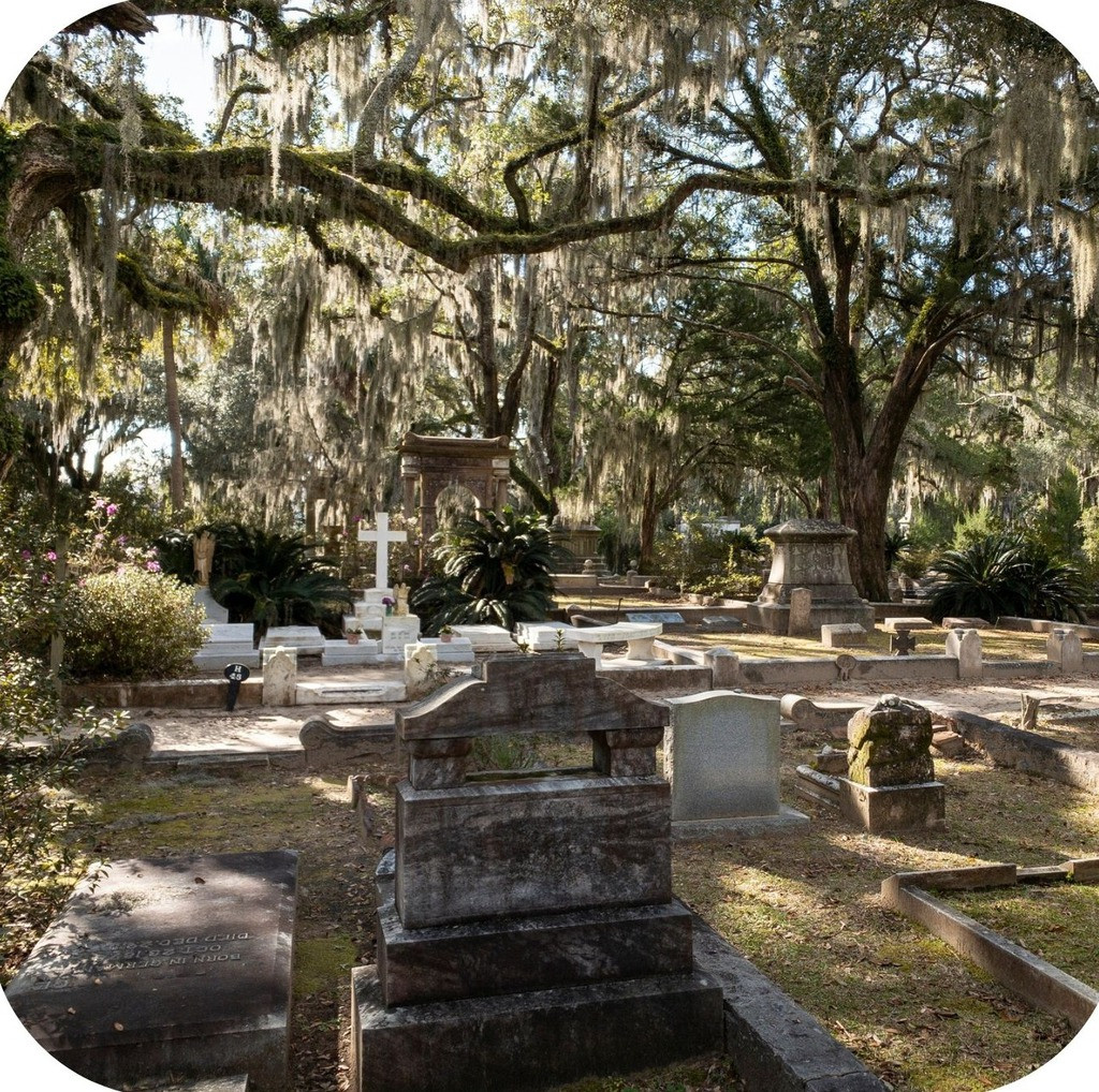 Savannah Georgia Historic Cemetery Headstones Canopied By Trees Filled ...