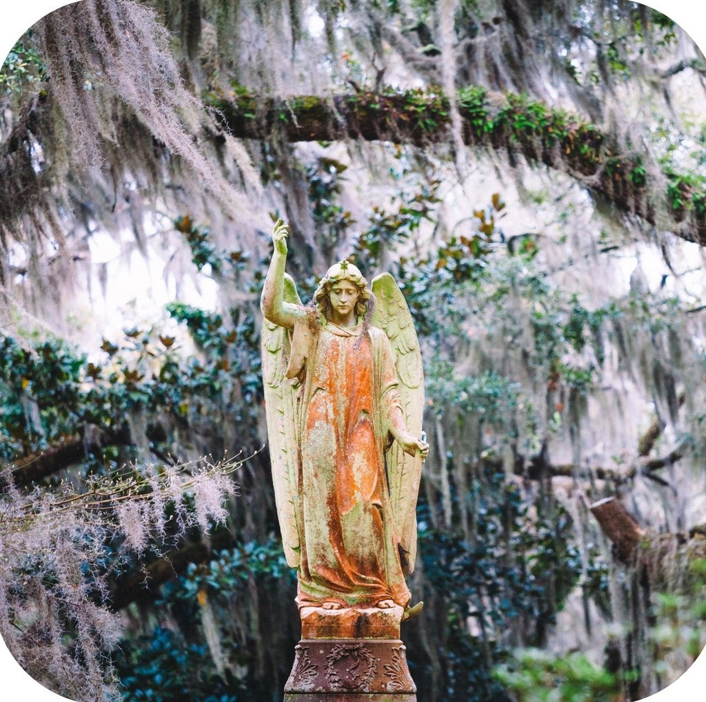 Savannah Georgia Angel Statue Surrounded by Moss Bonaventure Cemetery ...