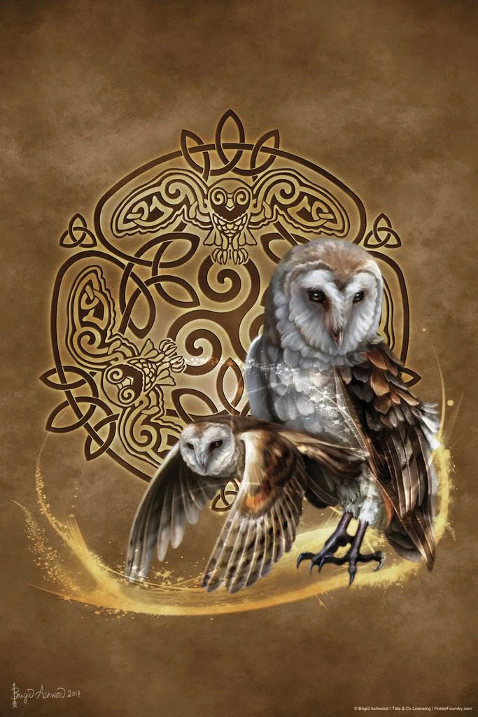 Celtic Animal Drawings