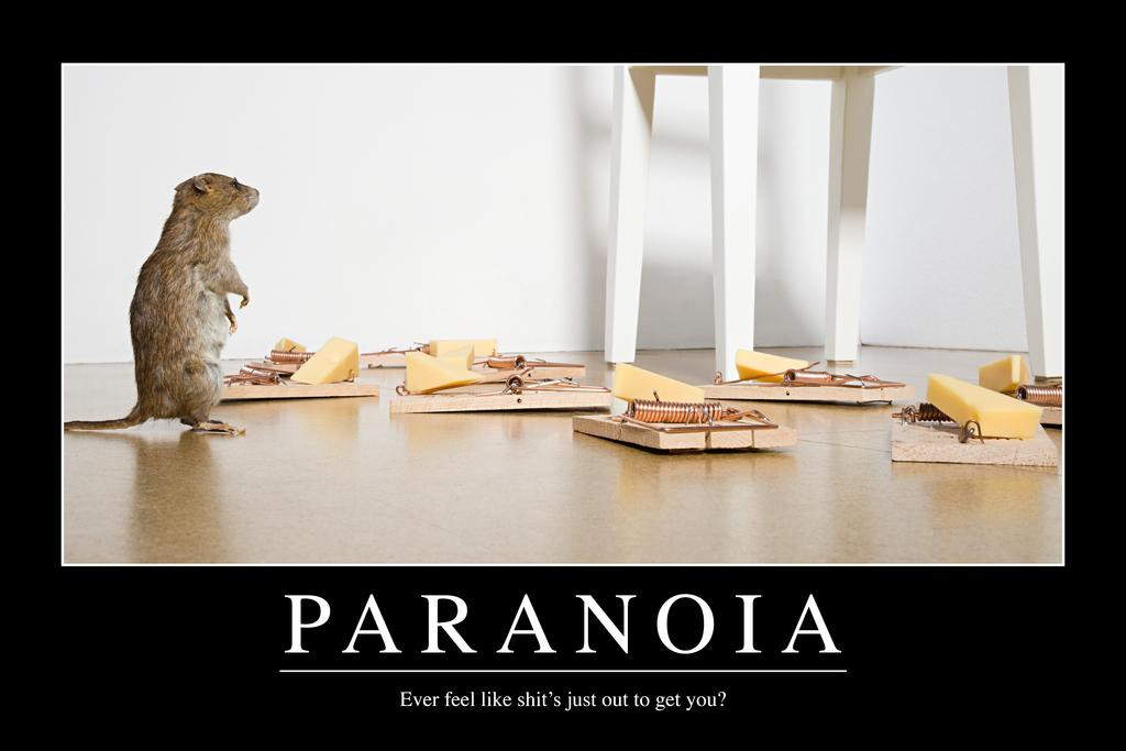 Paranoia Funny Demotivational Cool Wall Decor Art Print Poster 24x36 ...