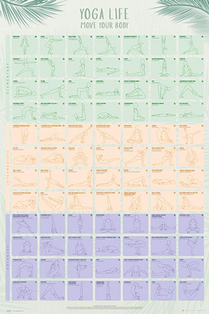 Chartex Yoga Poses Reference Chart Cool Wall Decor Art Print Poster ...