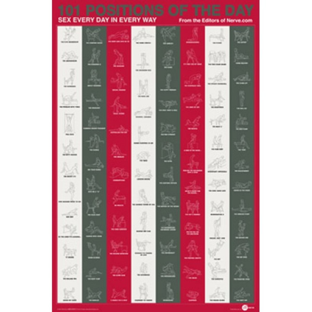 101 Positions of the Day Wall Chart Poster 24x36 - Poster Foundry