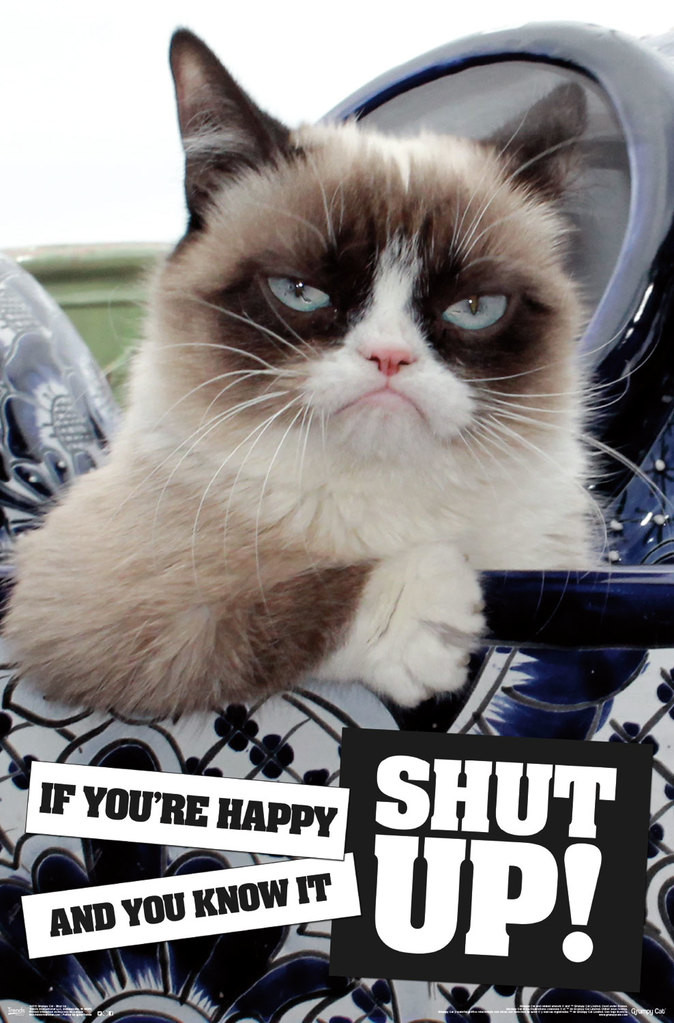 Grumpy Cat If Youre Happy And You Know It Shut Up Funny Poster 22x34 ...