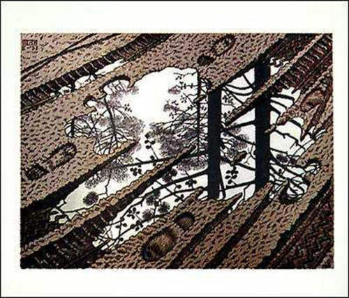 M.C. Escher Puddle Cool Wall Decor Art Print Poster 25.5x21.5 - Poster ...