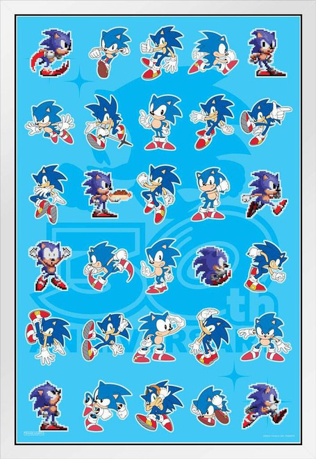 Sonic the Hedgehog 30th Anniversary Character Evolution Sega Video Game ...