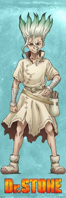 Laminated Dr Stone Senku Wall Scroll Anime Series Crunchyroll Webtoon ...