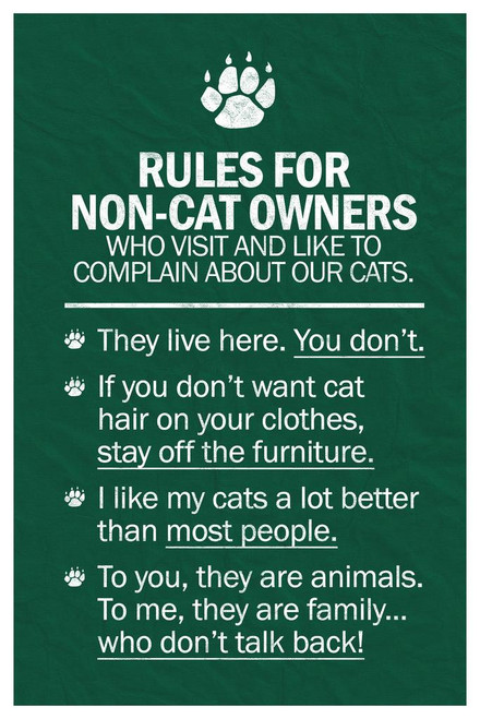 Laminated Cat Rules For Non Cat Owners Cat Poster Funny Wall Posters ...