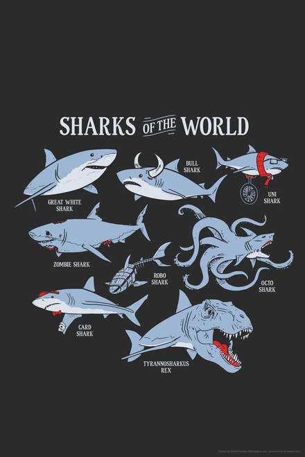 Sharks of the World Funny Fantasy Shark Posters For Walls Shark ...