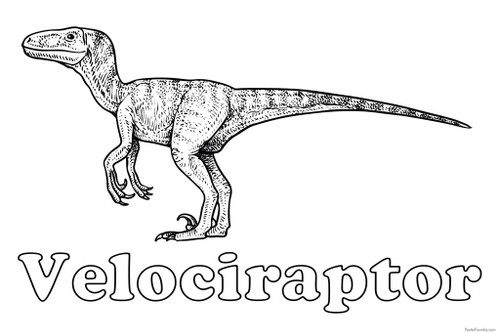 Velociraptor Dinosaur Coloring Poster For Kids Family Activity Science ...