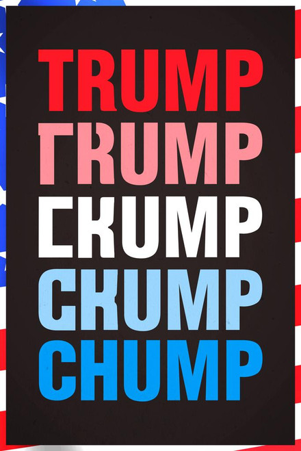 Laminated Trump To Chump Transformation Funny Poster Dry Erase Wall Art ...