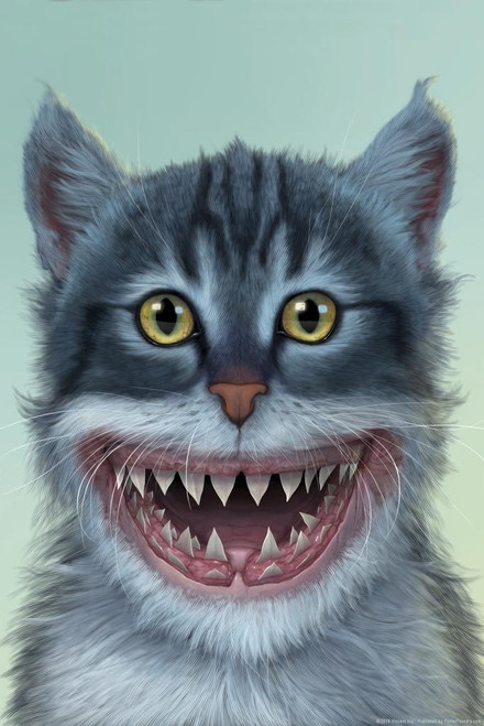 Laminated Sharkitten Shark Kitten Animal Mashup by Vincent Hie Hybrid ...