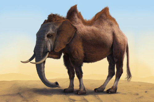 Laminated Camelephant Camel Elephant Animal Mashup by Vincent Hie Funny ...