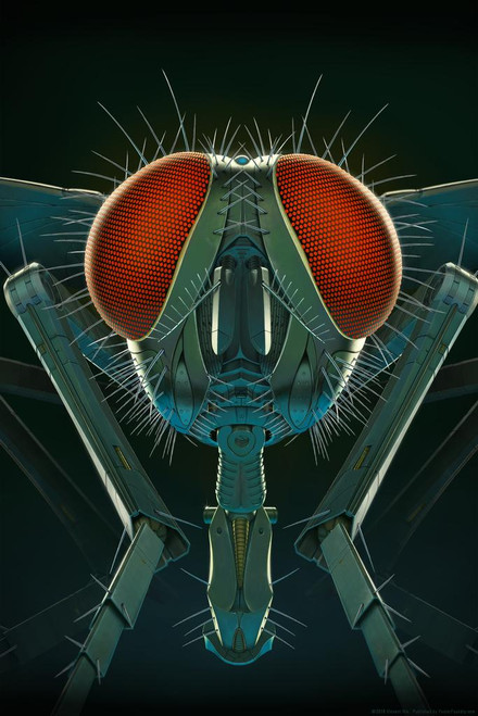 Laminated Metal Fly Face Portrait by Vincent Hie Fantasy Fly Poster ...