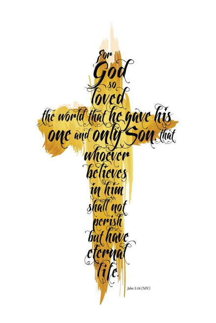 Laminated For God So Loved The World John 316 Inspirational Poster Dry ...