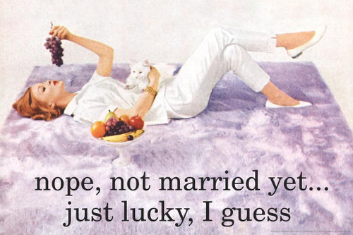Laminated Nope Im Not Married Yet Just Lucky I Guess Humor Poster Dry ...
