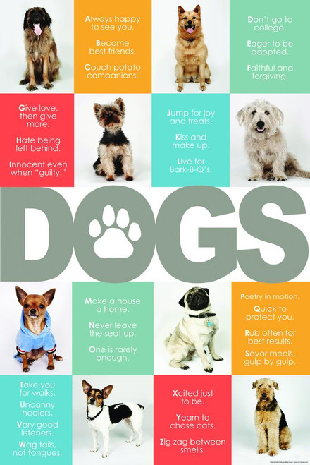 Laminated Dogs A to Z Puppy Posters For Wall Funny Dog Wall Art Dog ...