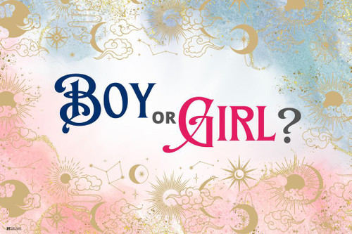 Gender Reveal Poster Boy or Girl Him or Her Baby Party Decorations ...