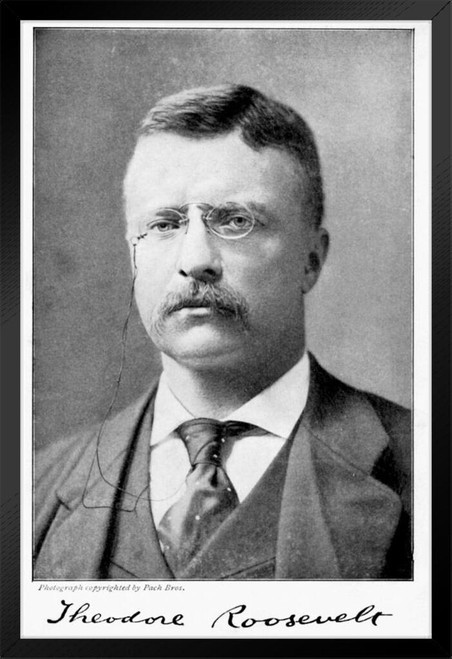 Portrait of American President Theodore Roosevelt Black Wood Framed ...
