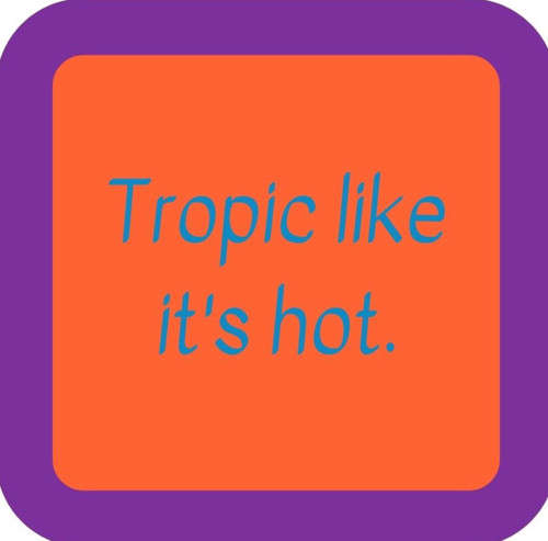 Tropic Like Its Hot Premium Drink Coaster Resin With Cork Backing ...