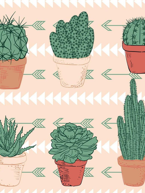 SET OF 3 - Cute Cactus Southwest Cream Arrows Arrowheads Box of 10 ...