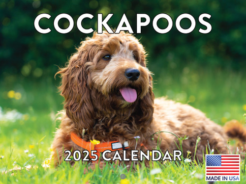 Cockapoo Calendar 2025 Monthly Wall Calender | American Made In The USA ...