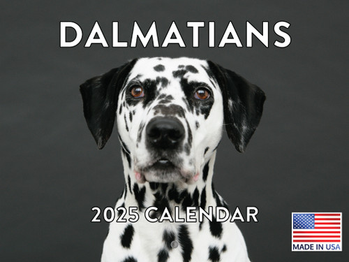 Dalmatian Calendar 2025 Wall Monthly | American Made In The USA ...