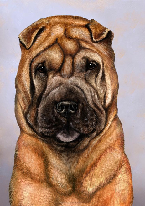 SET OF 3 - Chinese Shar Pei Dog by Tamara Burnett Box of 10 Blank Note ...