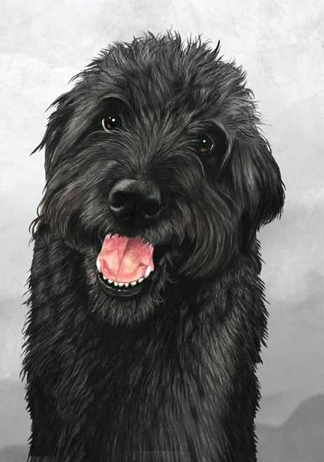 SET OF 3 - Labradoodle Dog by Tamara Burnett Box of 10 Blank Note Cards ...
