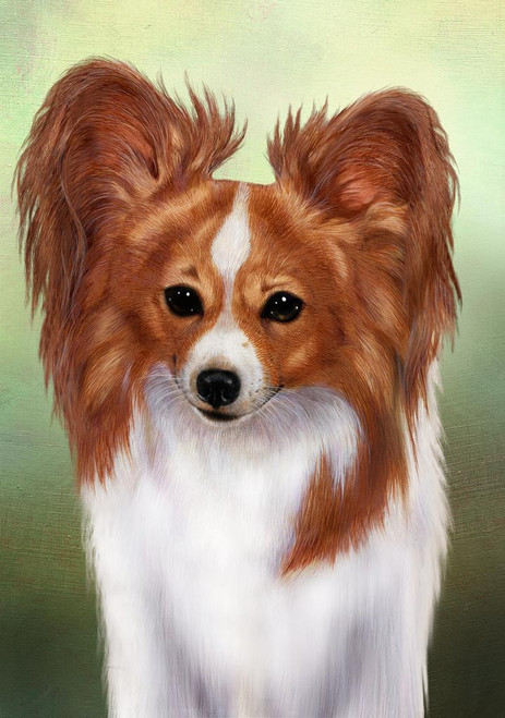 SET OF 3 - Papillon Dog by Tamara Burnett Box of 10 Blank Note Cards ...