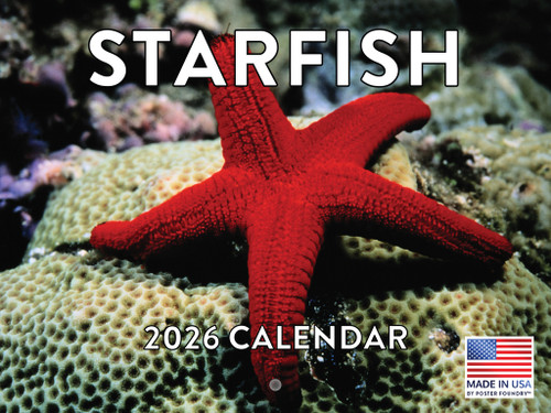 Starfish Calendar 2026 Monthly Wall Calender Gifts 12 Month | American ...