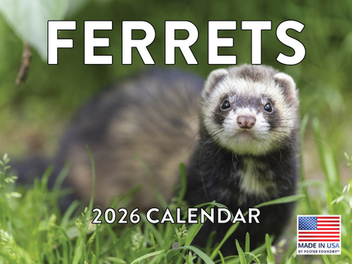 Ferret Calendar 2026 Monthly Wall Calender 12 Month | American Made In ...